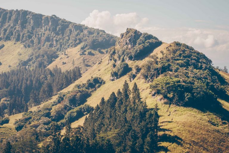 16 Best Things to Do in Kandy (A Local's Guide) | That’s What She Had