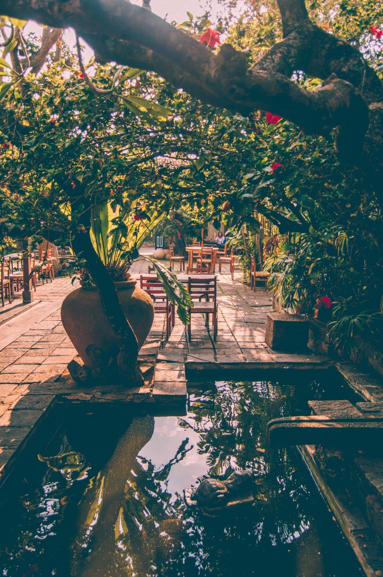 40 Seriously Cool Things to Do in Colombo | That’s What She Had