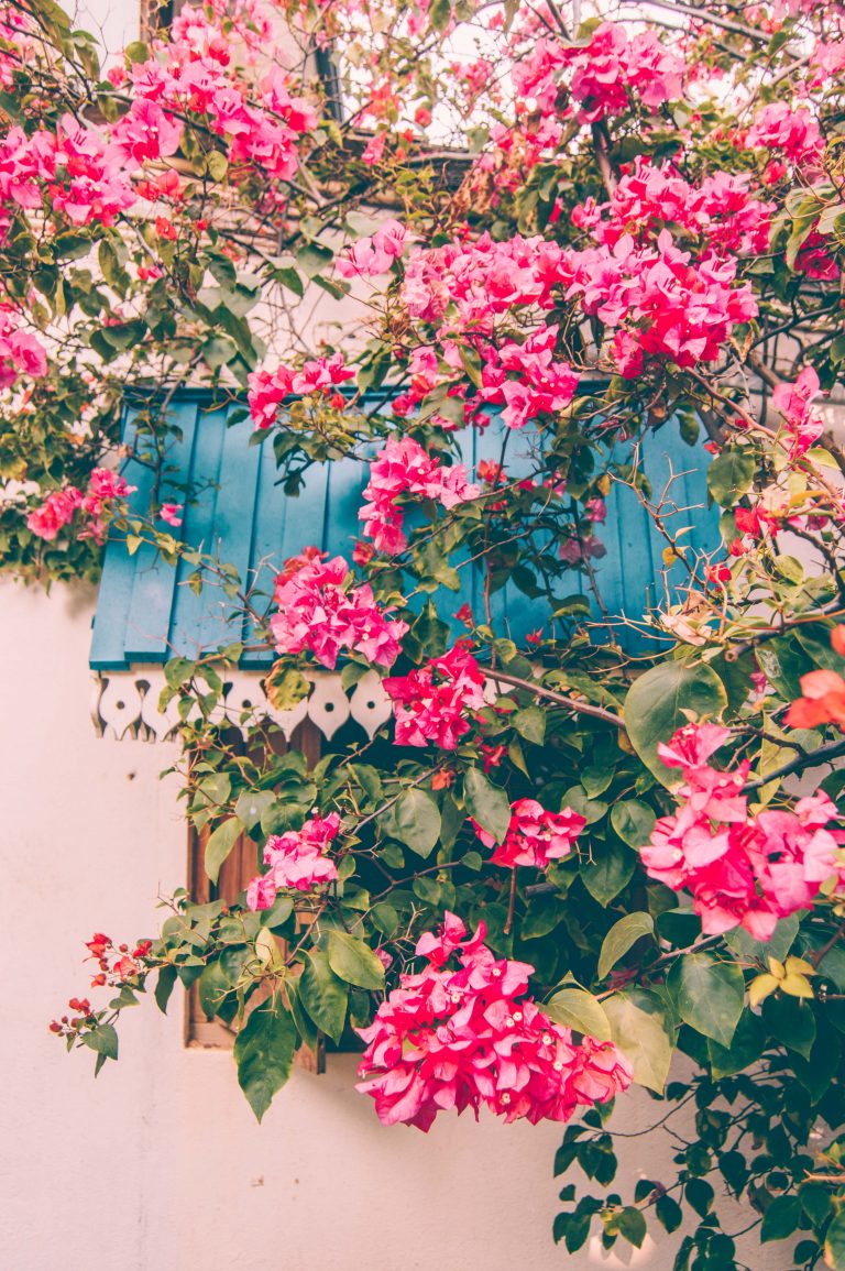 40 Seriously Cool Things to Do in Colombo | That’s What She Had