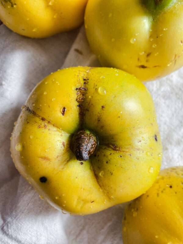 Quince Pomegranate Jam | That’s What She Had