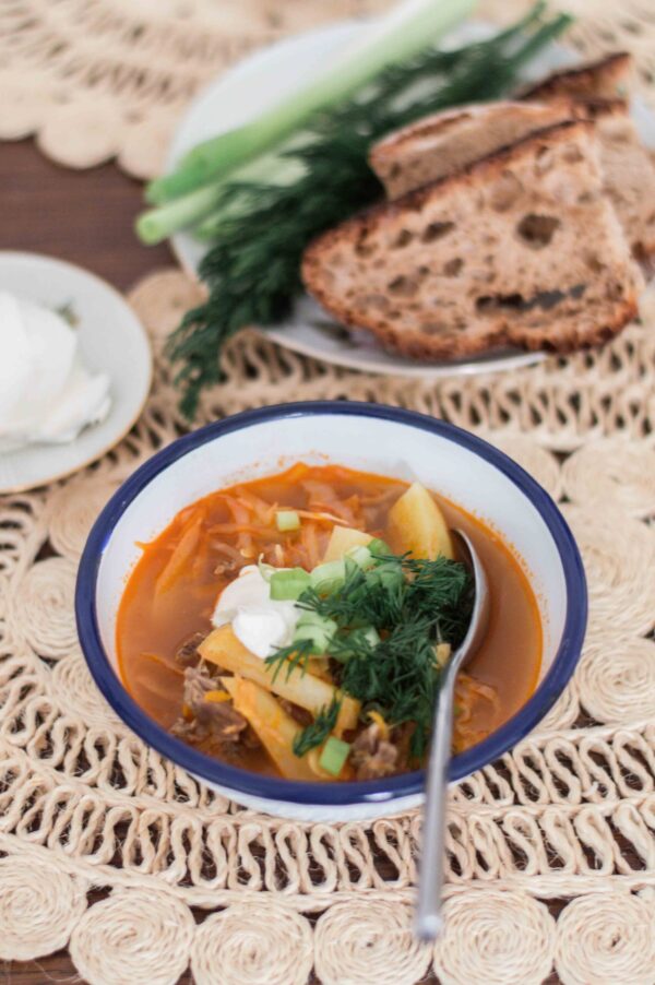 Lazy Shchi, a Simple Russian Cabbage Soup | That’s What She Had