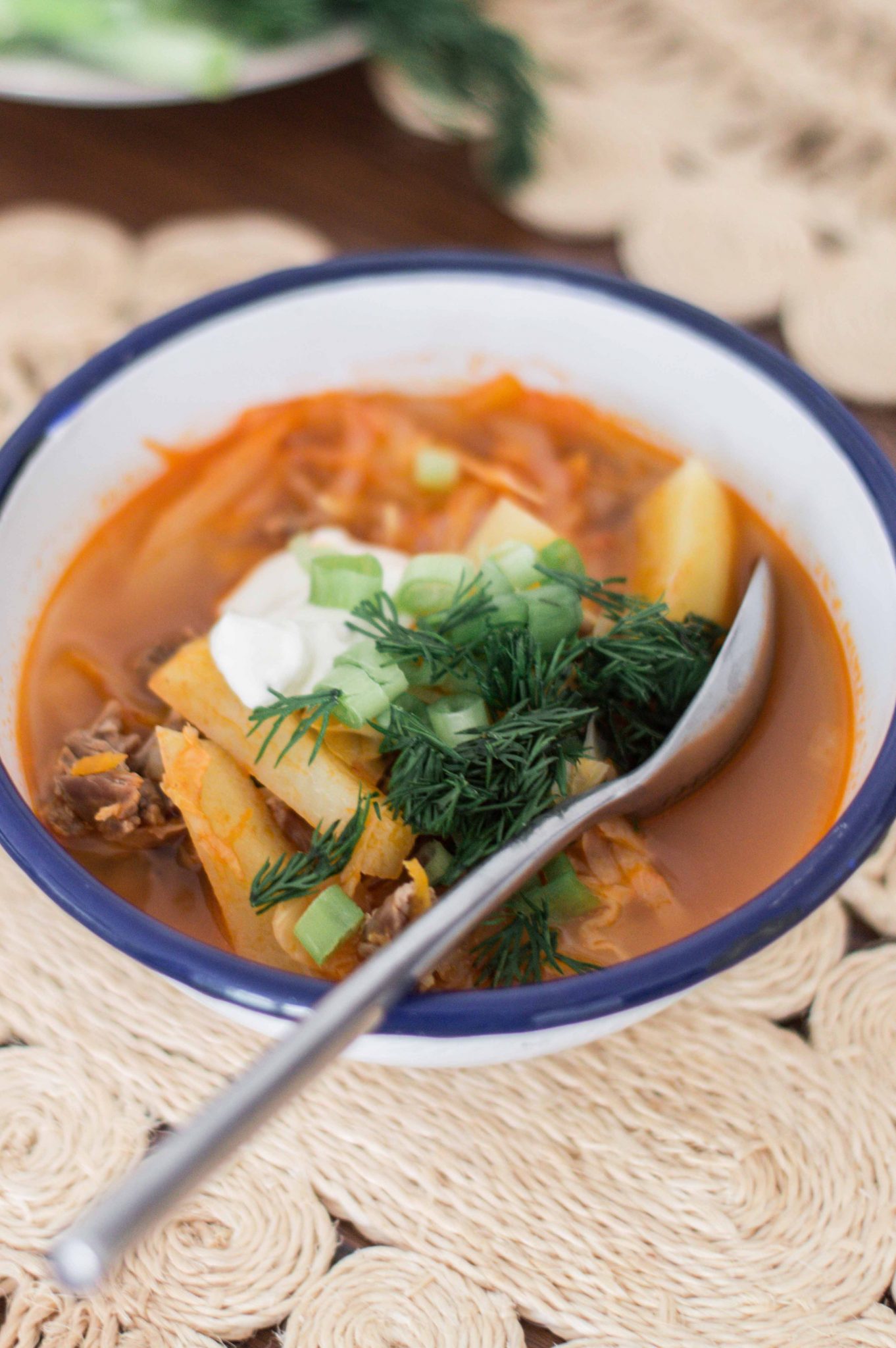 Lazy Shchi, a Simple Russian Cabbage Soup | That’s What She Had