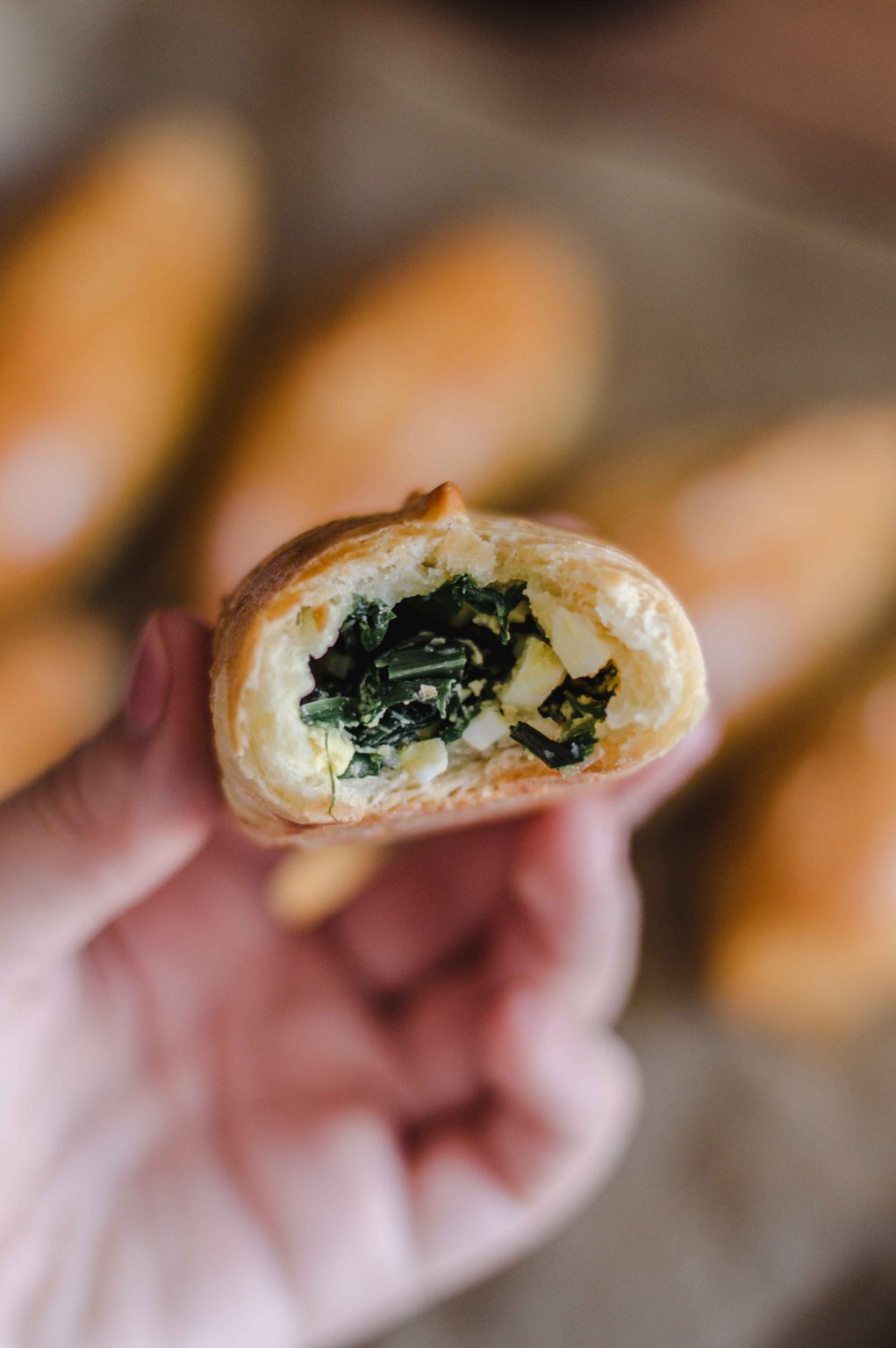 Russian Pirozhki, 3 Ways | That’s What She Had