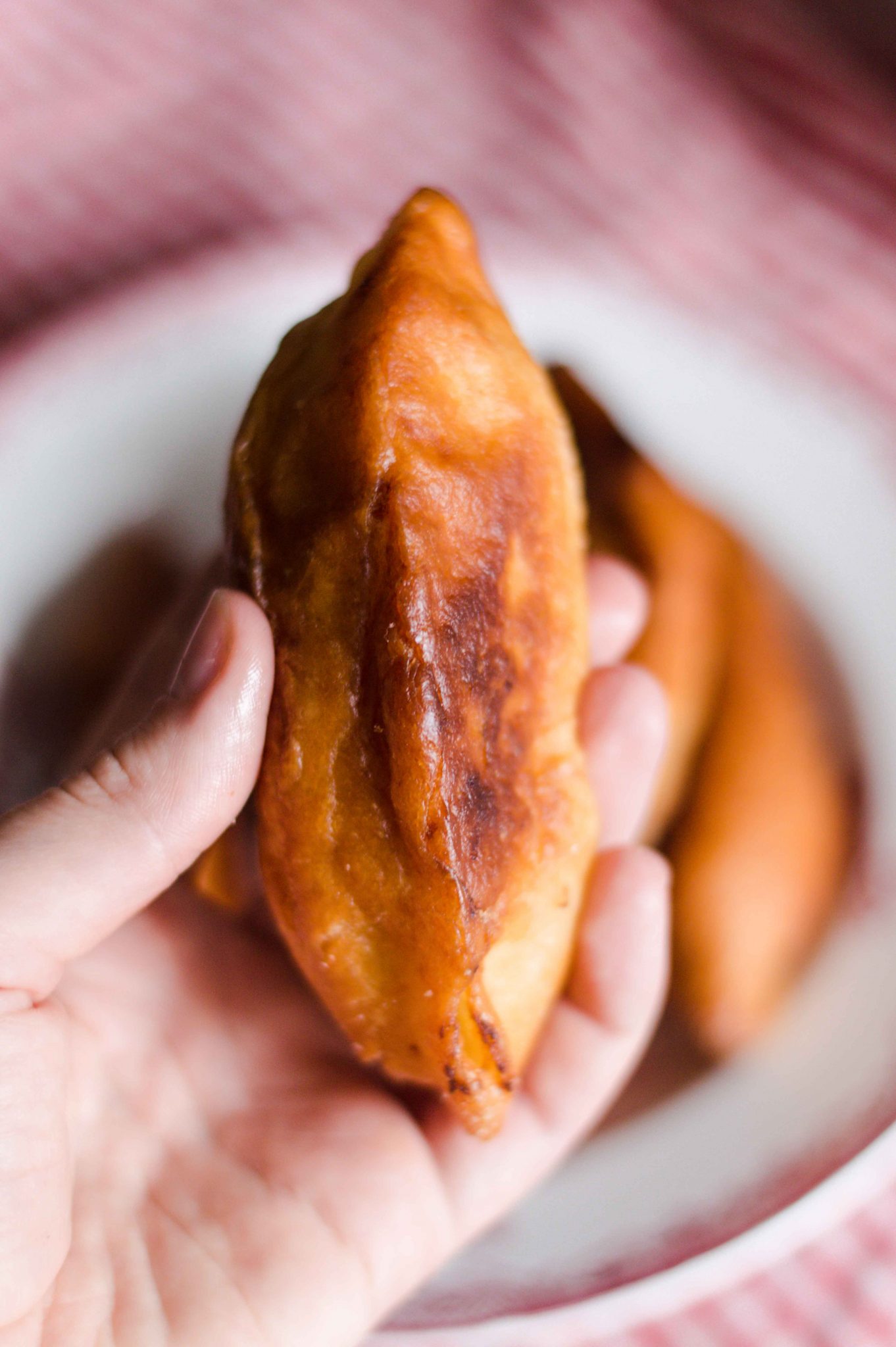 Russian Pirozhki, 3 Ways | That’s What She Had