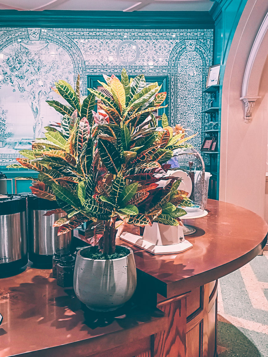 One Day in New York: a Step-by-Step Guide | That’s What She Had